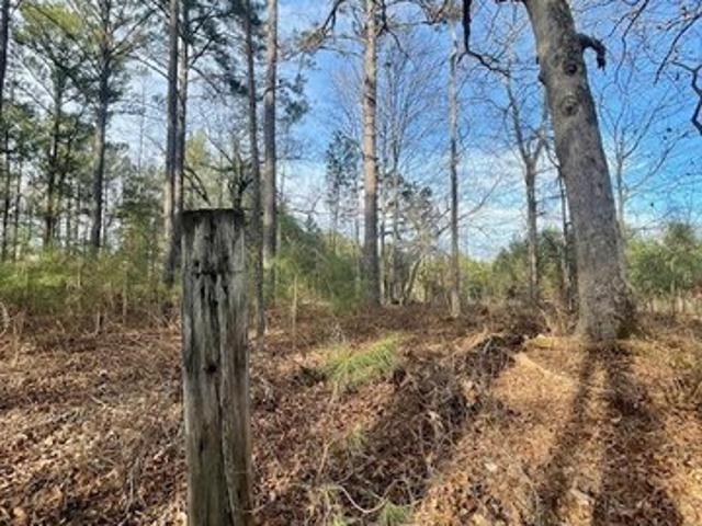 Padgett Rd Lot 5, Senoia, GA 30276