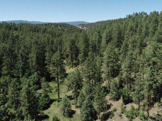 Pagosa Springs CO 81147 LS97046807