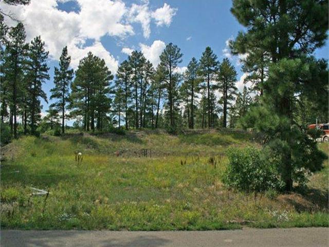 Pagosa Springs, CO Archuleta Country Land 0.430000 acre for sale in Pagosa Lakes, Colorado
