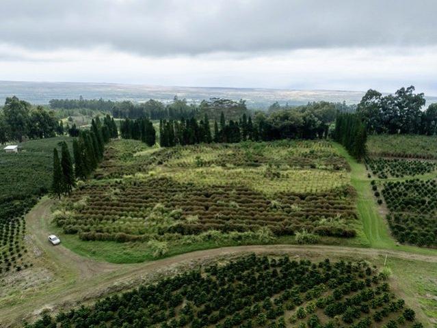 Pahala, HI 96777