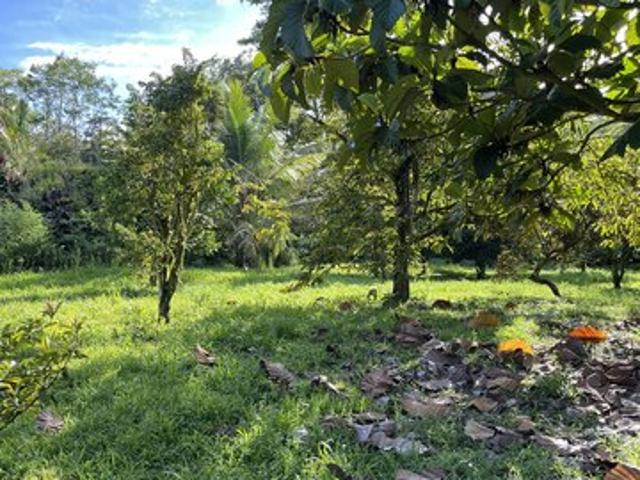 Pahoa Kalapana Rd, Pahoa, HI 96778