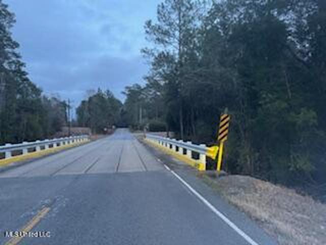 Paige Bayou Road, Vancleave, MS 39565