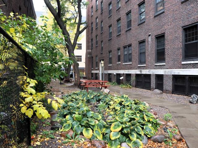 Paige Hall Studio Apartment for Rent at 727 5th Ave S, Minneapolis, MN 55415 Elliot Park