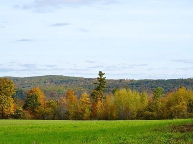 Paige Hill Rd Lot A, Brimfield, Plot For Sale