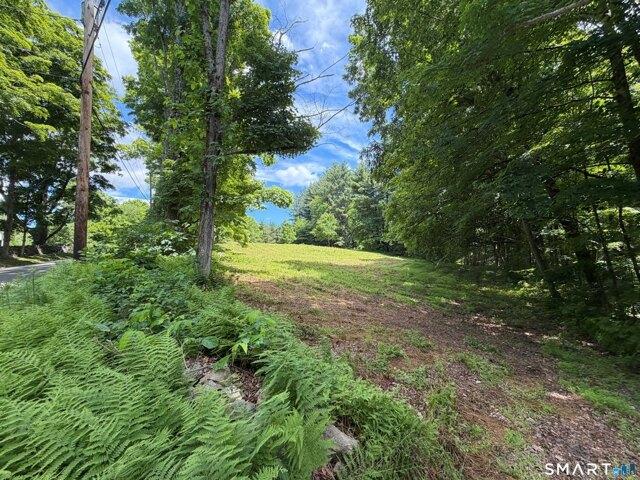 Painter Hill Rd, Woodbury, Plot For Sale