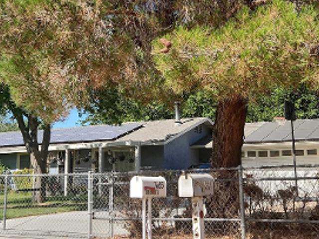 Paisley Ave