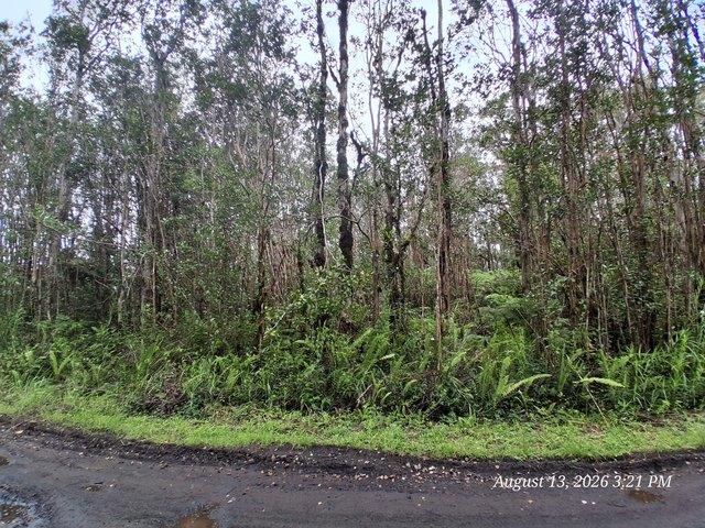 Palainui Ave, Mountain View, HI 96771