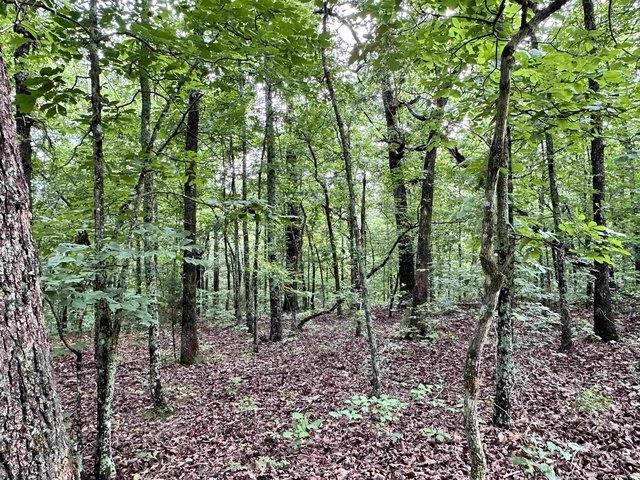 Palamino Dr, Williford, AR 72482