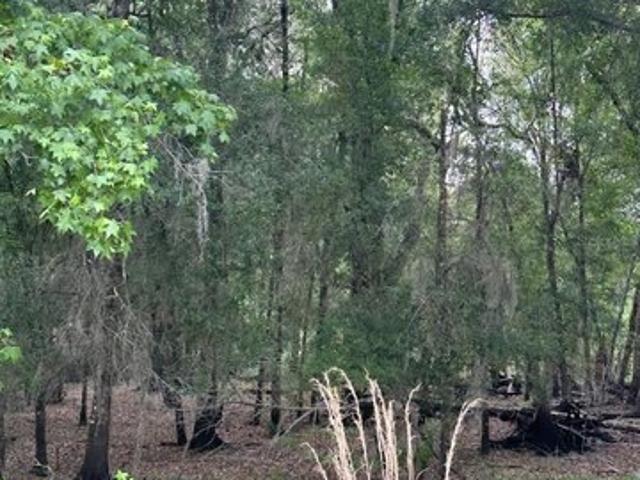 Palamino Lake Dr, Dade City, FL 33523