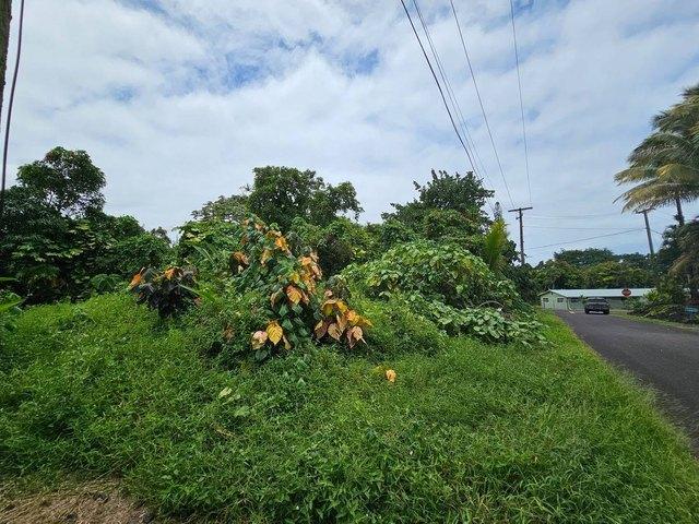 Palani St, Pahoa, HI 96778