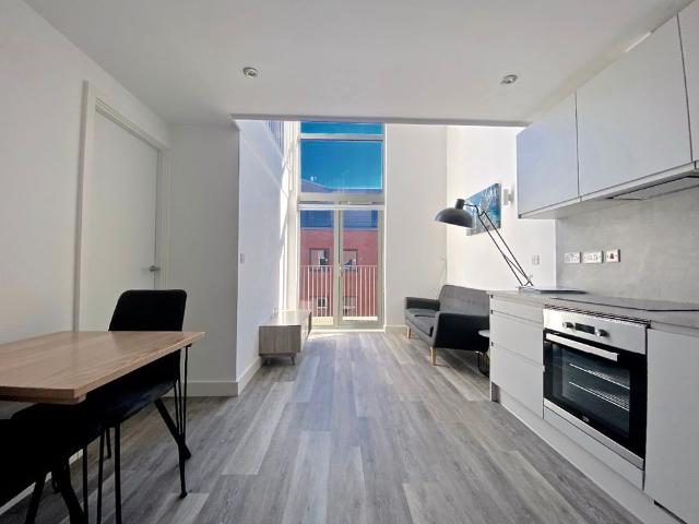 Palatine Gardens, Henry Street, Sheffield, S3 7ER