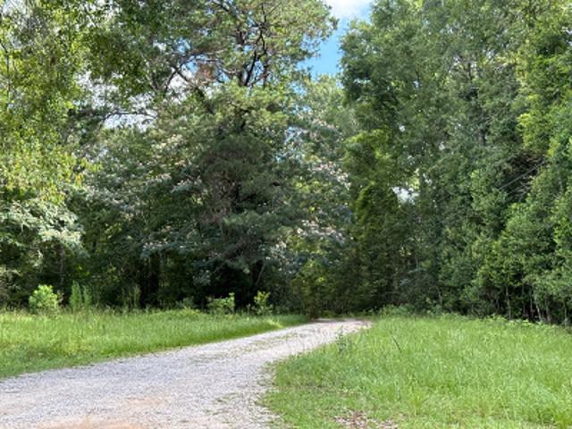 Palestine Rd