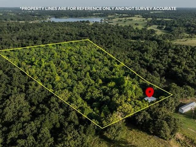 Palestine, TX 75803