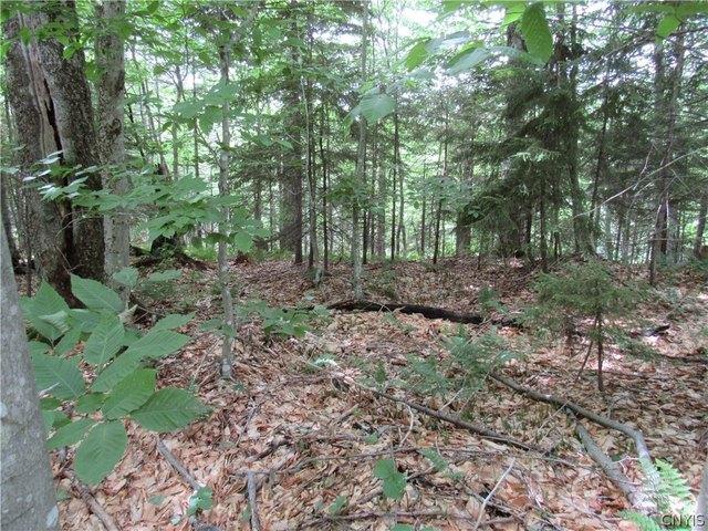 Palisades Rd, Old Forge, NY 13420