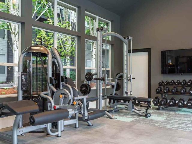 Pallas Townhomes and Apartments 1 Bedroom Apartment for Rent at 15021 Sw Millikan Way, Aloha, OR 97003 Cooper Mountain Aloha North