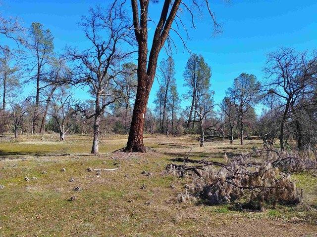 Palm Ave, Happy Valley, CA 96007
