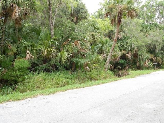Palm Dr, New Smyrna Beach, FL 32168