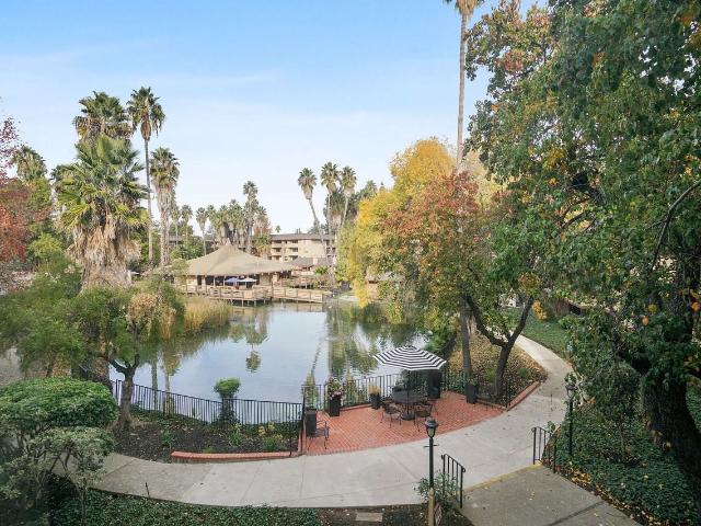 Palm Lake 2 Bedroom Apartment for Rent at 780 Oak Grove Rd, Concord, CA 94518