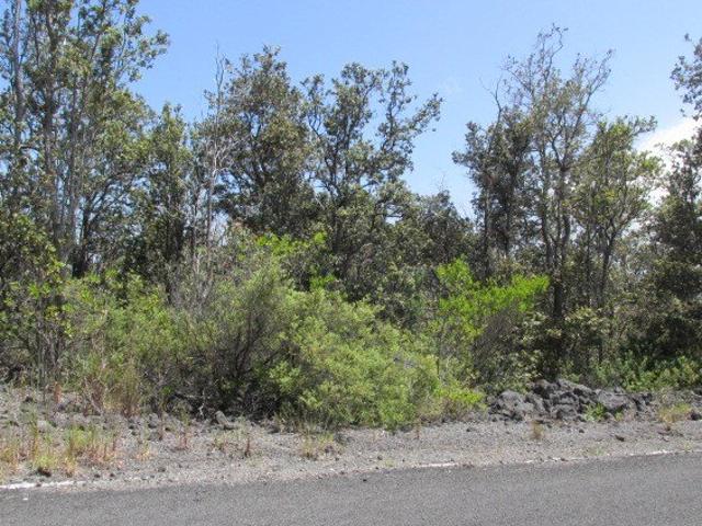 Palm Pkwy, Ocean View, HI 96737