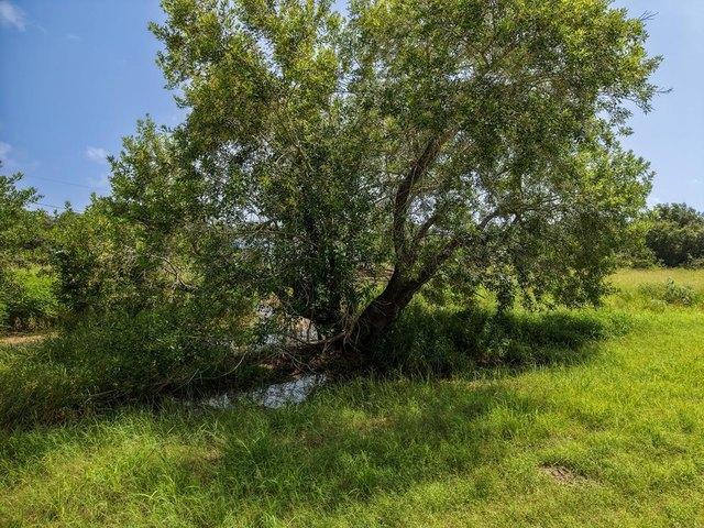 Palm St, Rockport, TX 78382