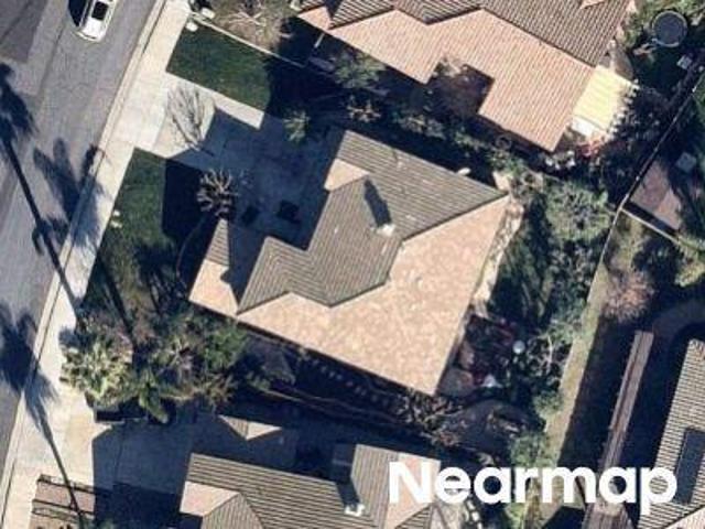 Palm Tree Ln