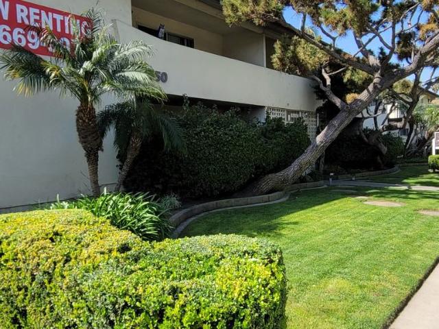 Palm Villa 1 Bedroom Apartment for Rent at 3550 Los Flores Blvd, Lynwood, CA 90262 Lynwood