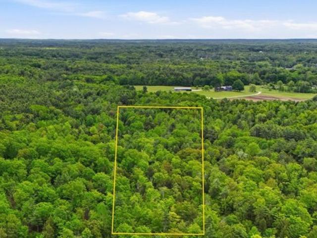 Palmer Rd Lot C, Buxton, Plot For Sale