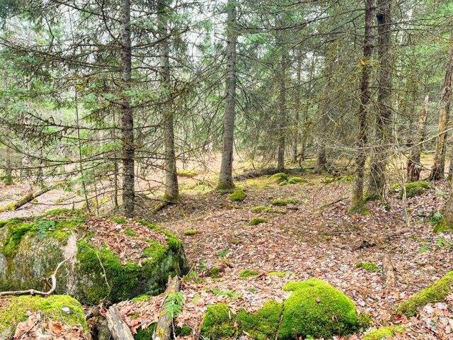 Palmer Rd, Saint Regis Falls, Plot For Sale