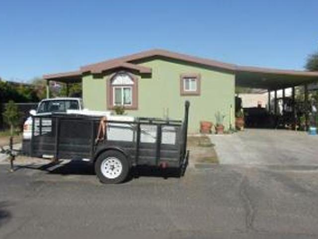 Palmeras Cir