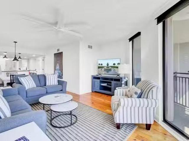 Palmetto Drive