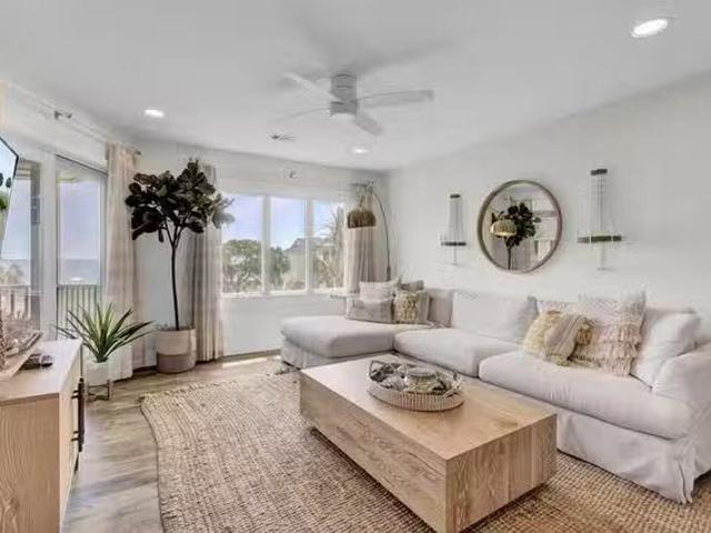 Palmetto Drive