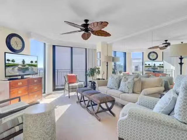 Palmetto Drive