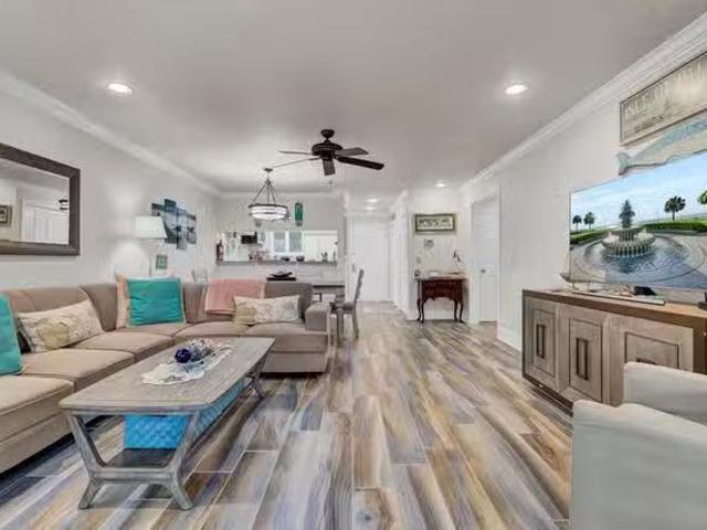 Palmetto Drive