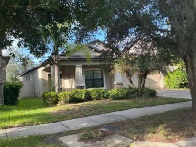 Palmetto Pine St
