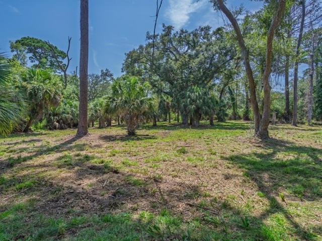 Palmetto Rd, Edisto Island, SC 29438