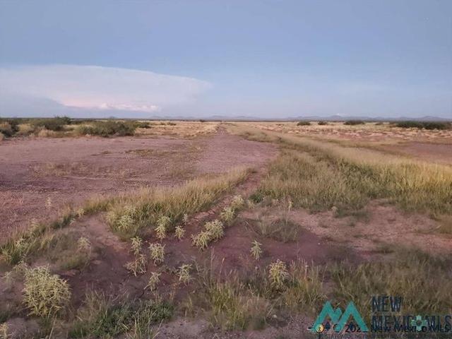 Palo Verde Rd SE, Deming, NM 88030