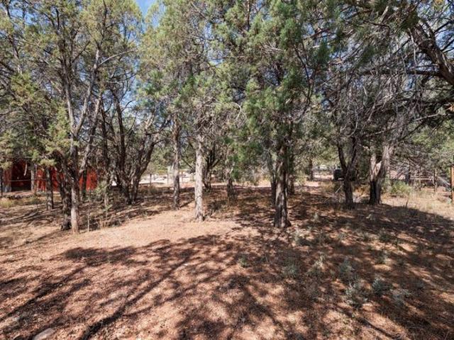 Palomino Dr Lot 86, Payson, AZ 85541