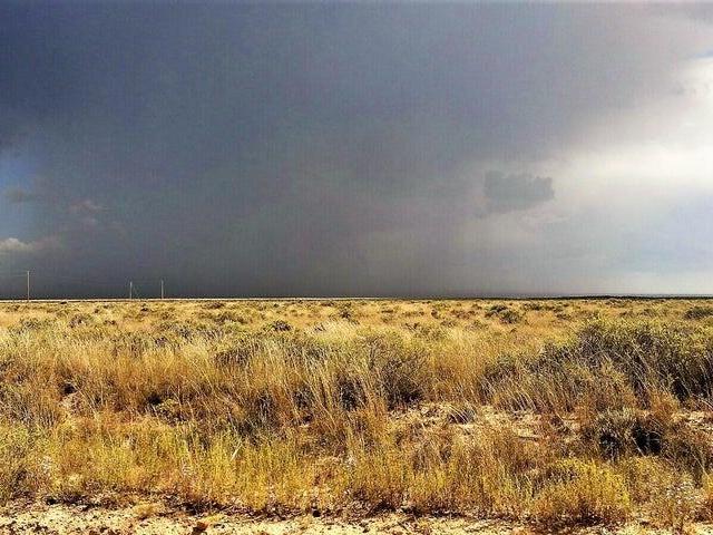 Palomino Drive Lot 2