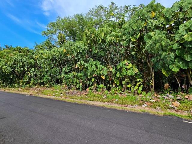 Papai St, Pahoa, HI 96778
