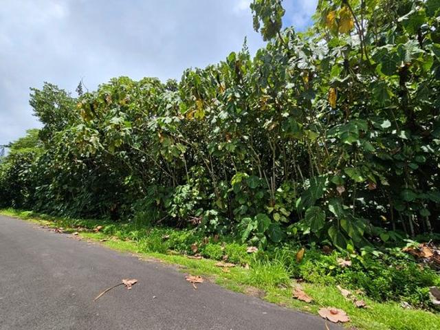 Papai St, Pahoa, HI 96778