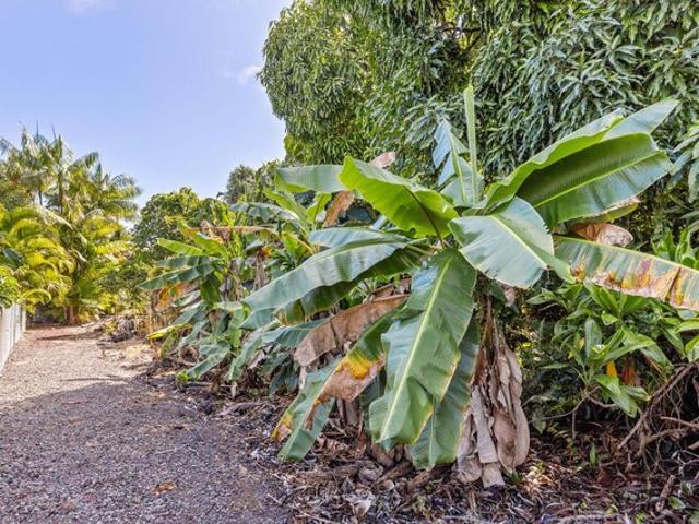 Papai St, Pahoa, HI 96778