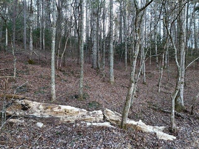 Papas Mountain Rd Lot 2, Blairsville, GA 30512