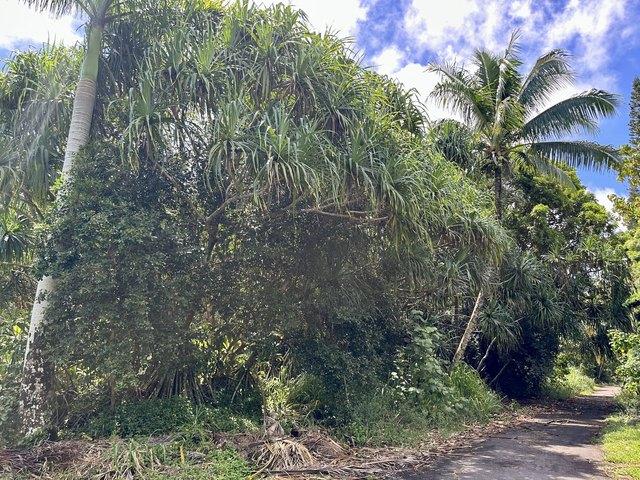 Papaya Farms Rd, Pahoa, HI 96778