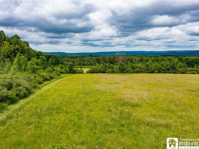 Part of 4600 Fluvanna Townline Road