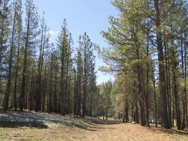 Partin Lot 3, Beatty, OR 97621