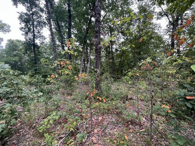 Partridge Dr, Climax Springs, MO 65324