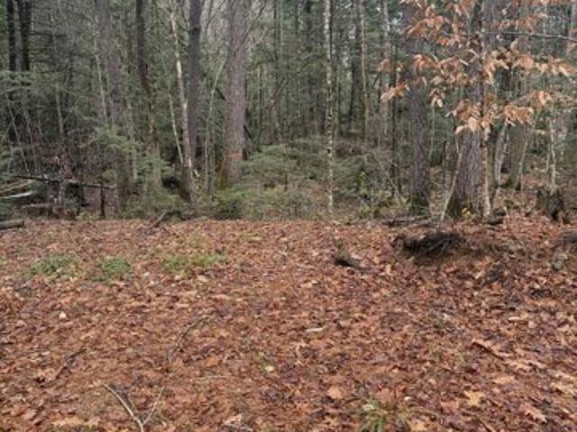 Partridge Hill Rd Lot,sandwich, Plot For Sale