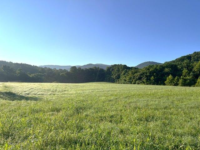 Par 047 00 Highway 73, Newport, TN 37821