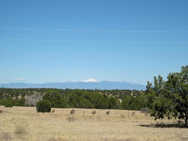 Par 111B Black Horse Dr, Pueblo, CO 81004