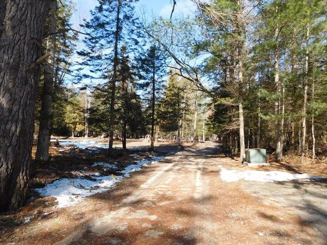 Par 6 Wildwood Ln, Grayling, MI 49738